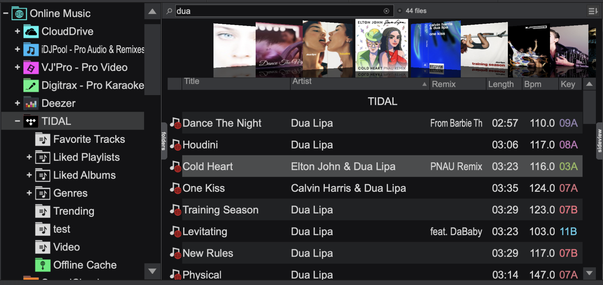 VirtualDJ - User Manual - Alternate Catalogs